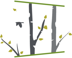 About « MLTC Bioenergy Centre